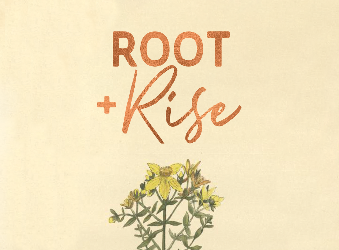 Root & Rise Fund - Awaken Herbs